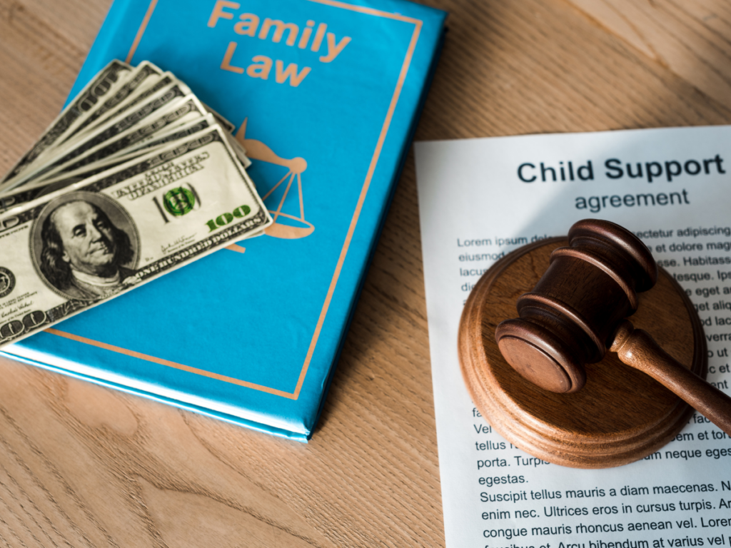 What are the Different Types of Child Support King Law